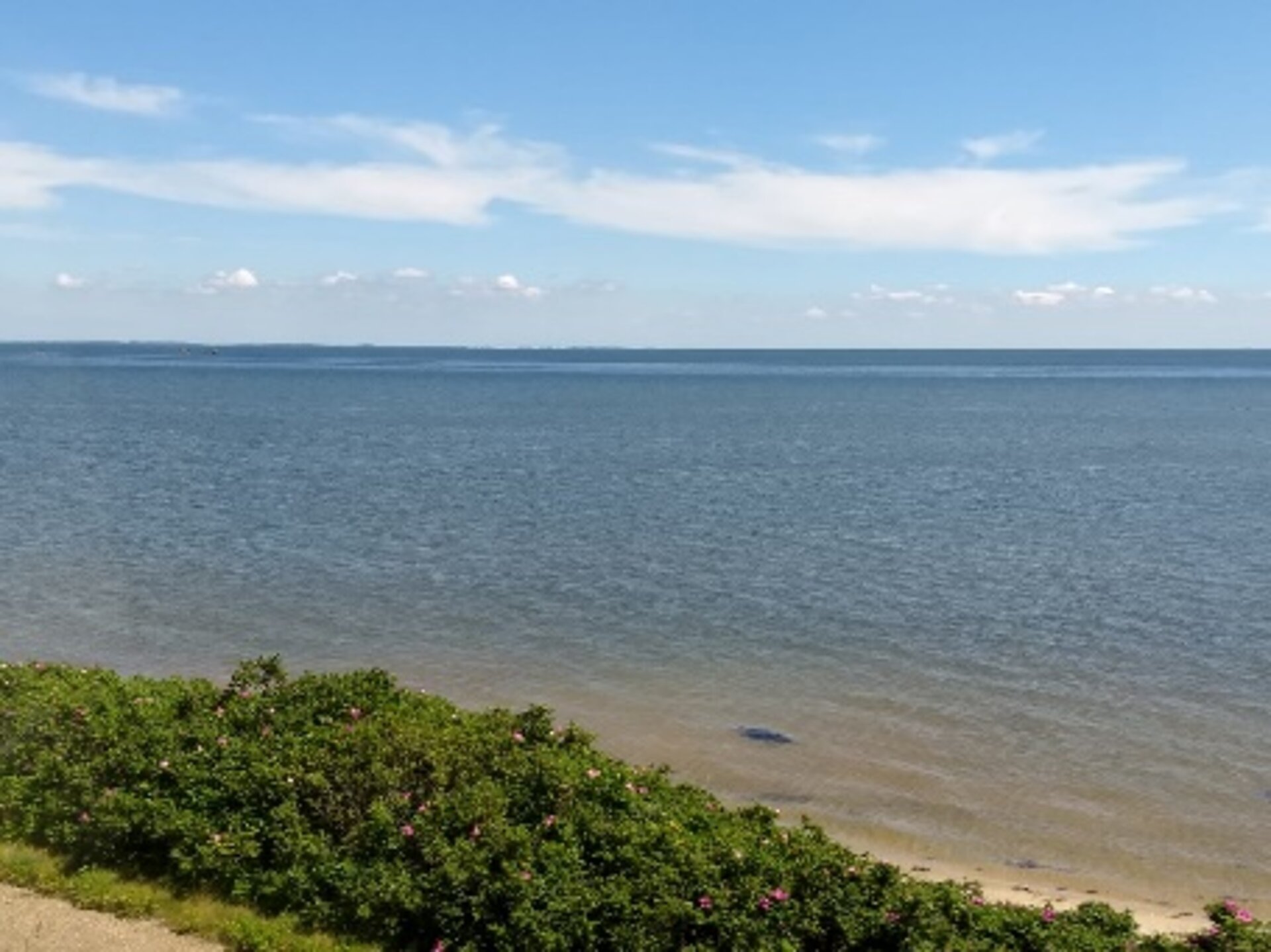 „Patient Meer“ - Bündnis 90/ Die Grünen Neustadt-Aisch